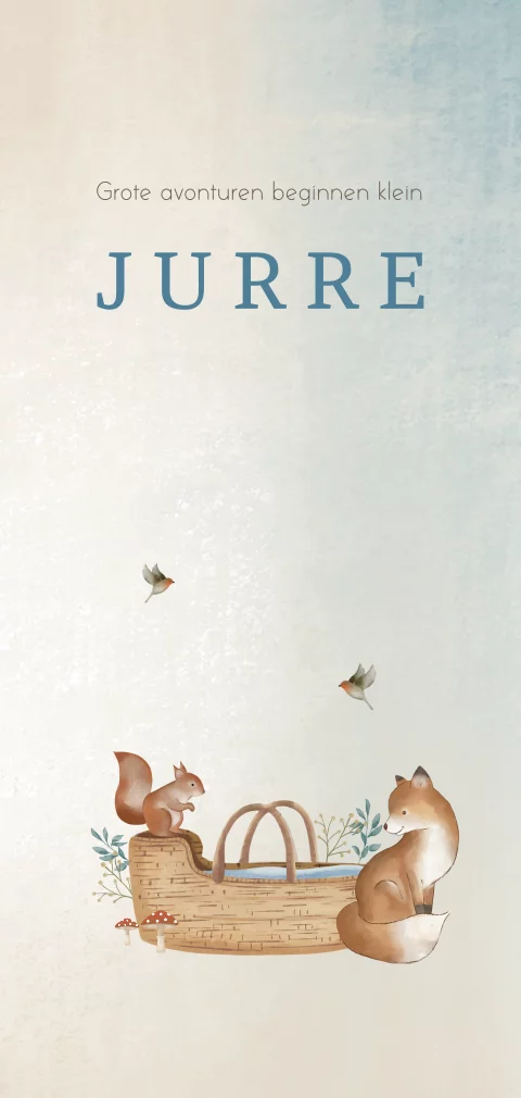 Lieve geboortekaart met tekening van vosje bij een mozesmand