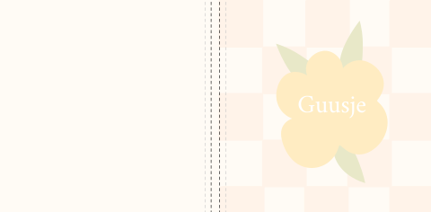 Kraambezoekboek met ruitjes patroon en bloem