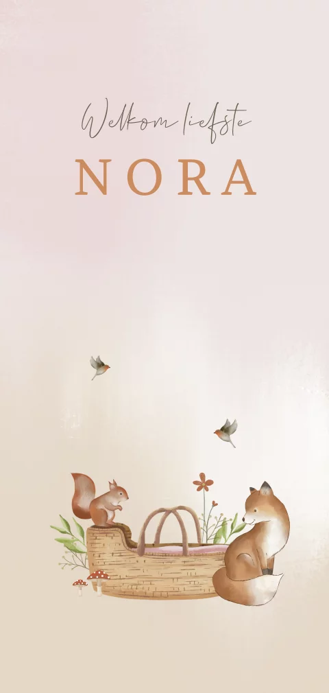 Prachtig geboortekaartje met getekende dieren bij mozesmand