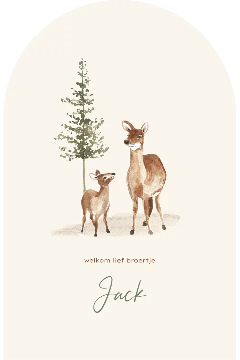 Origineel geboortekaartje in de vorm van een arch met hertjes
