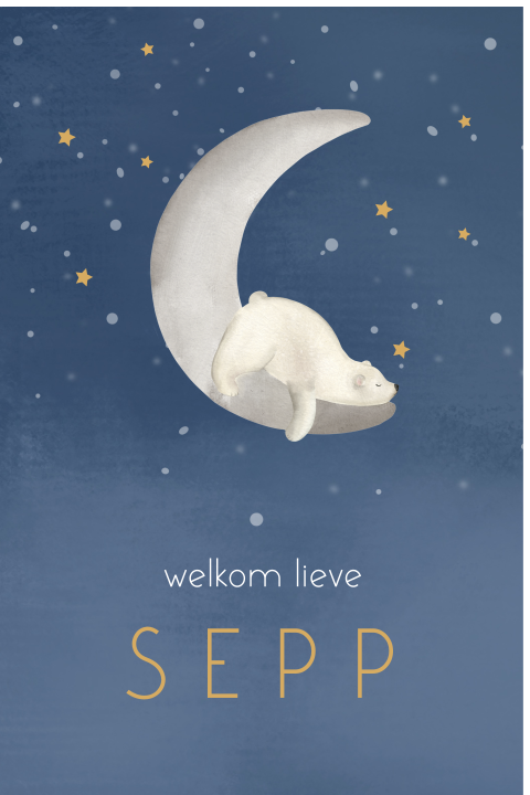 Lief geboortebord met slapende beer op maan