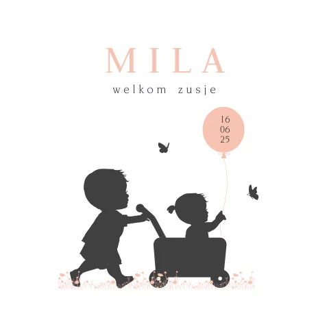 Hip geboortekaartje meisje met broertje in loopkar