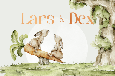 Tweeling konijnen geboortekaartje jongens wortel wipwap en koperfolie