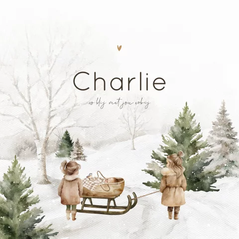Geboortekaartje unisex winter voor een derde kindje met mand en slee