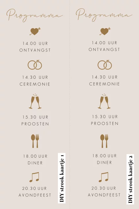 Programma minikaartjes bruiloft