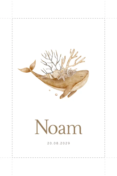 DIY handgeschept geboortekaartje met walvis, schelpen en koraal