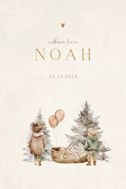Unisex winter geboortekaartje derde kindje in mand met broer en zus