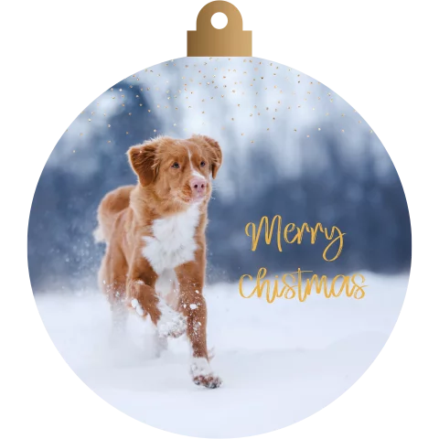 Kerstkaart kerstbal vorm met foto hond