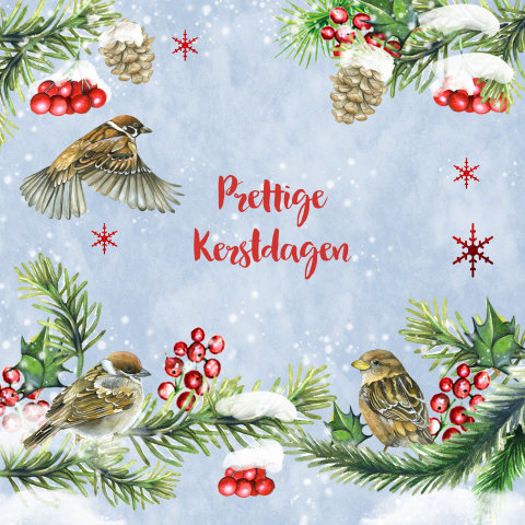 Klassieke kerstkaart met kersttakjes, sneeuw en vogeltjes