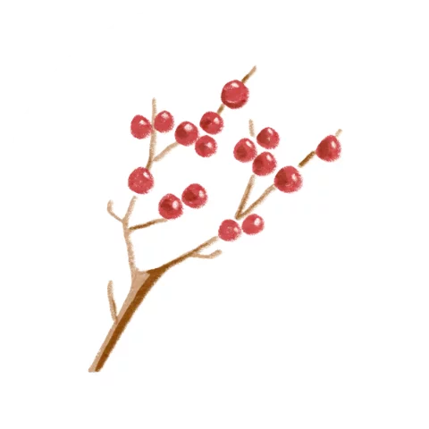 Sluitzegel kersttakje