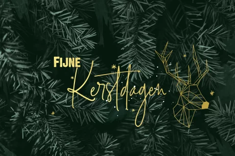 Stijlvolle goudfolie kerstkaart met kersttakjes en rendier