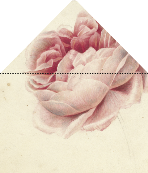 Umschlag-Einlage "Die rosa Rose"