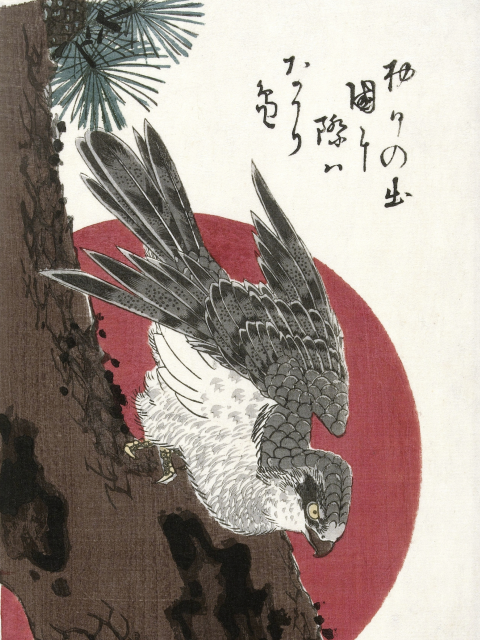 Poster Falke auf einem Kiefernstamm und einer roten Sonne